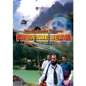 Video Rentals